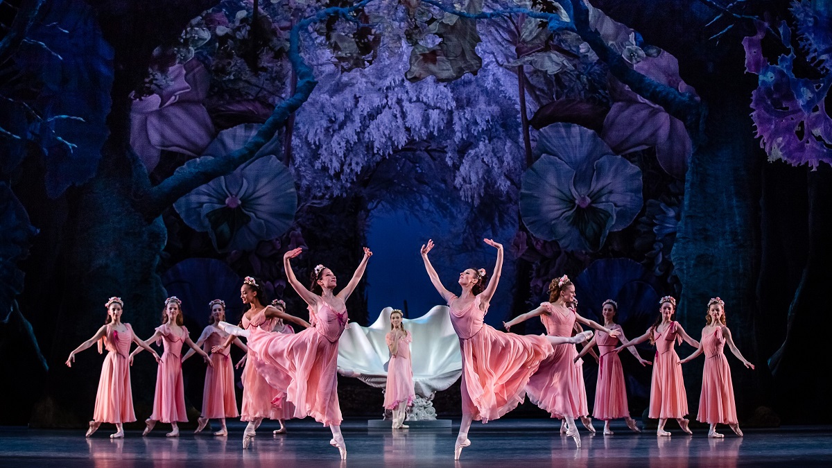 The best of ballet — medici.tv