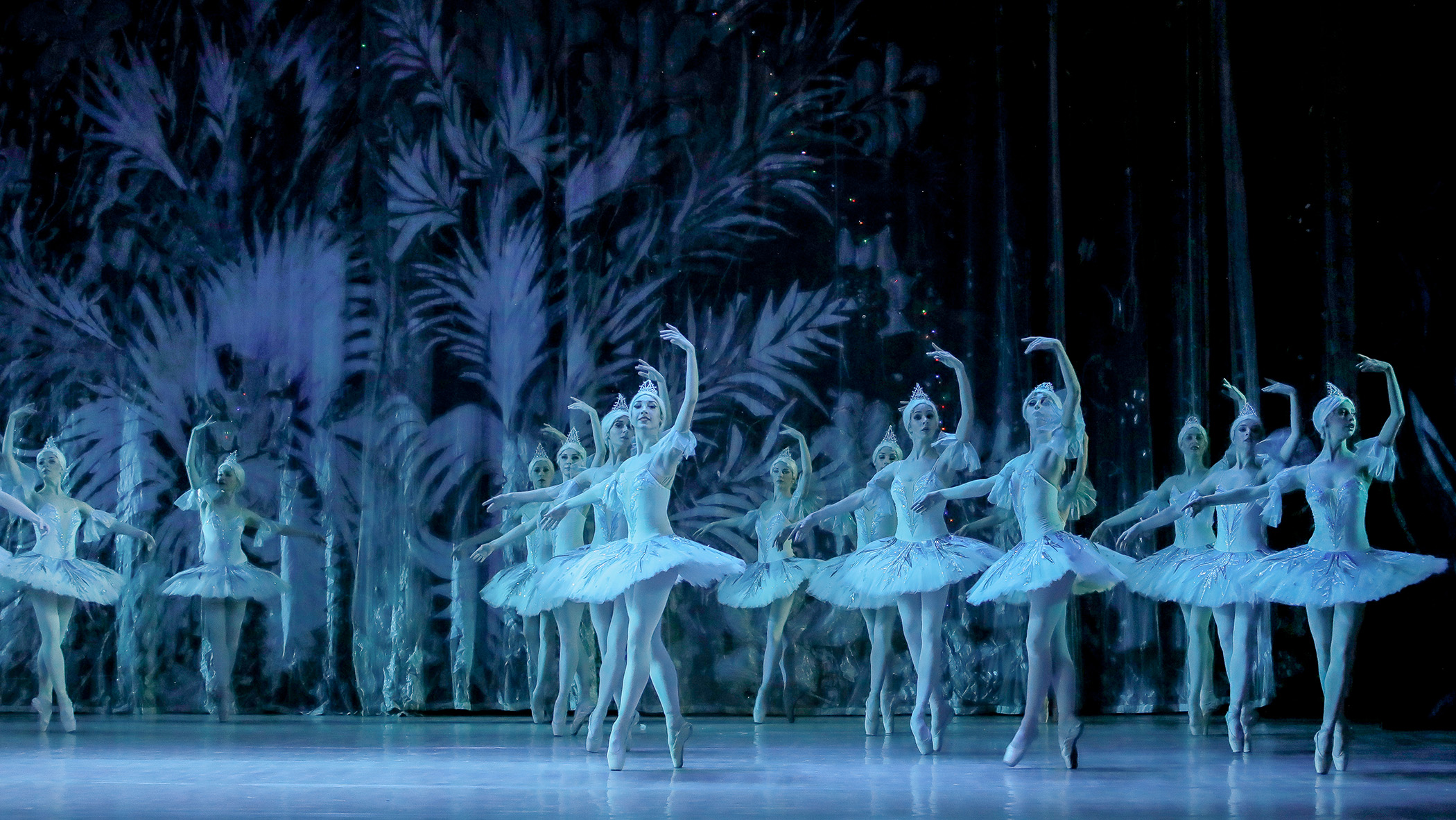 The best of ballet — medici.tv